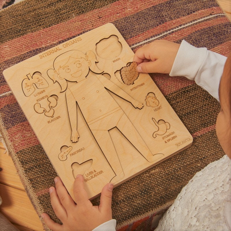 Human Body Puzzle - Etsy