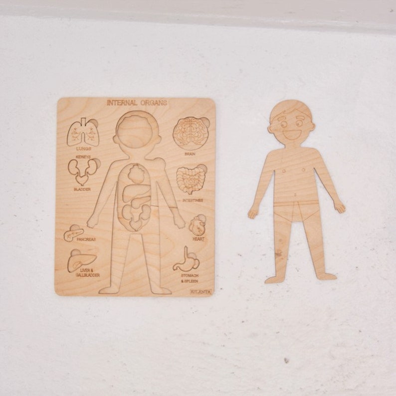 Wooden Puzzle, Learning Human Body, Human Body Puzzle, Anatomy Teacher ...