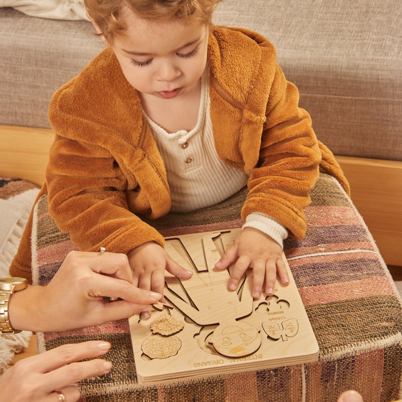 Wooden Puzzle, Learning Human Body, Human Body Puzzle, Anatomy Teacher ...