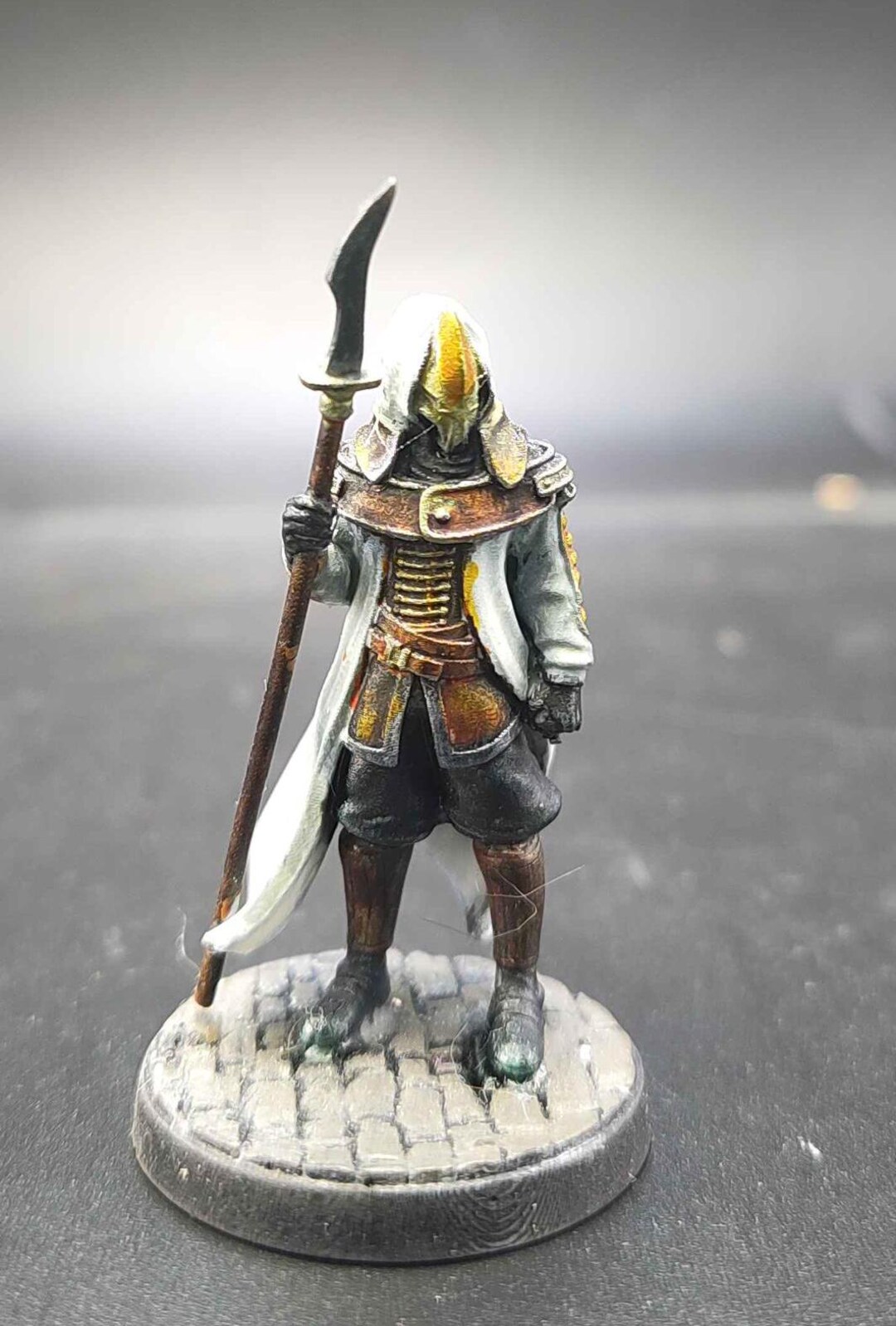 Masked Elven Polearm Fighter Player Character 3d Printed Painted ...
