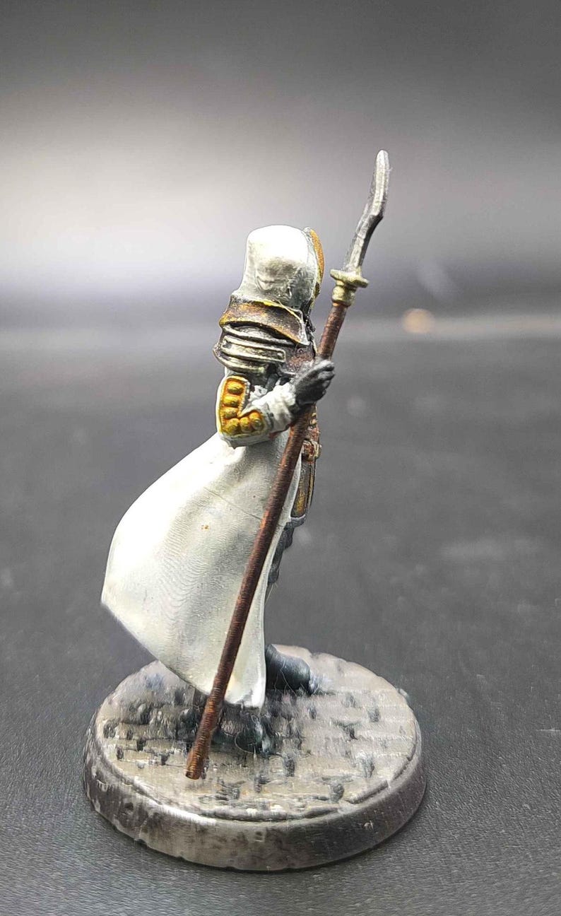 Masked Elven Polearm Fighter Player Character 3d Printed Painted ...