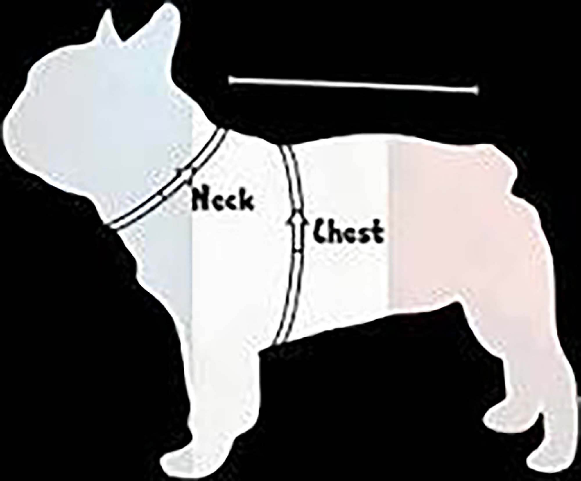 Cute Luxury Dog Harness Set Fashion Type Monogram Style Made - Etsy