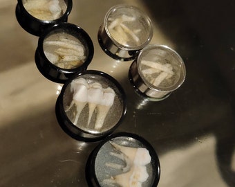 Tooth Plugs | Etsy