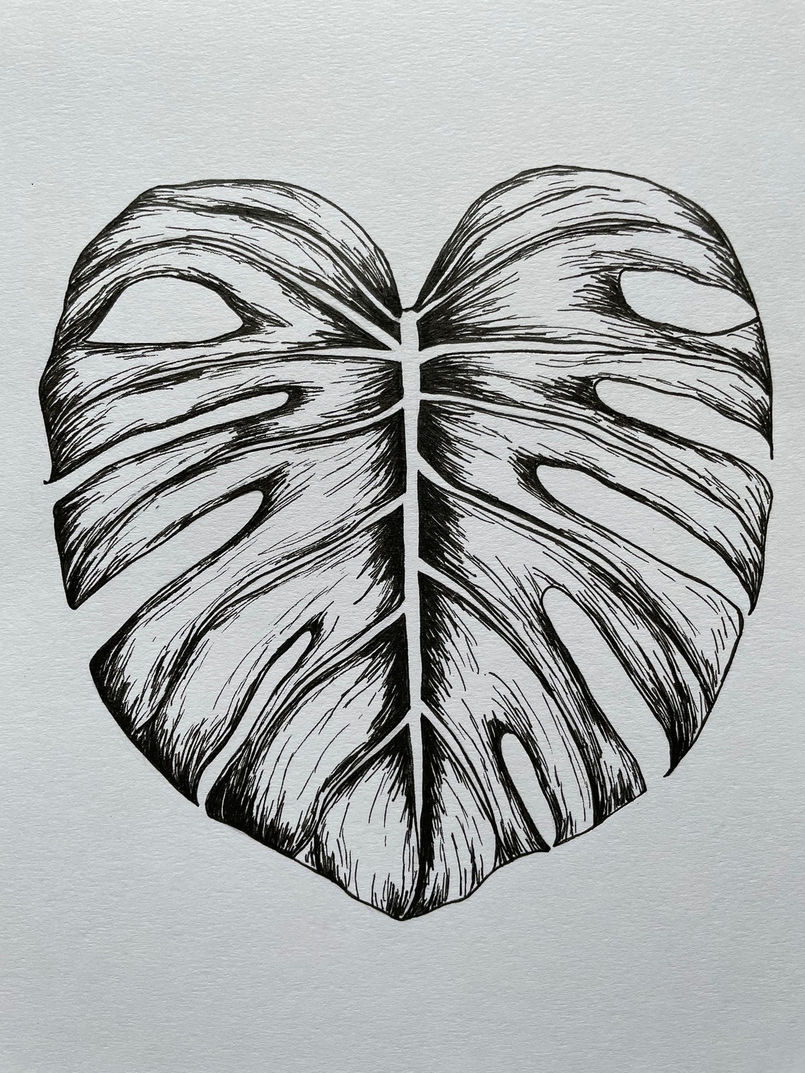 MONSTERA Fineline Drawing - Etsy