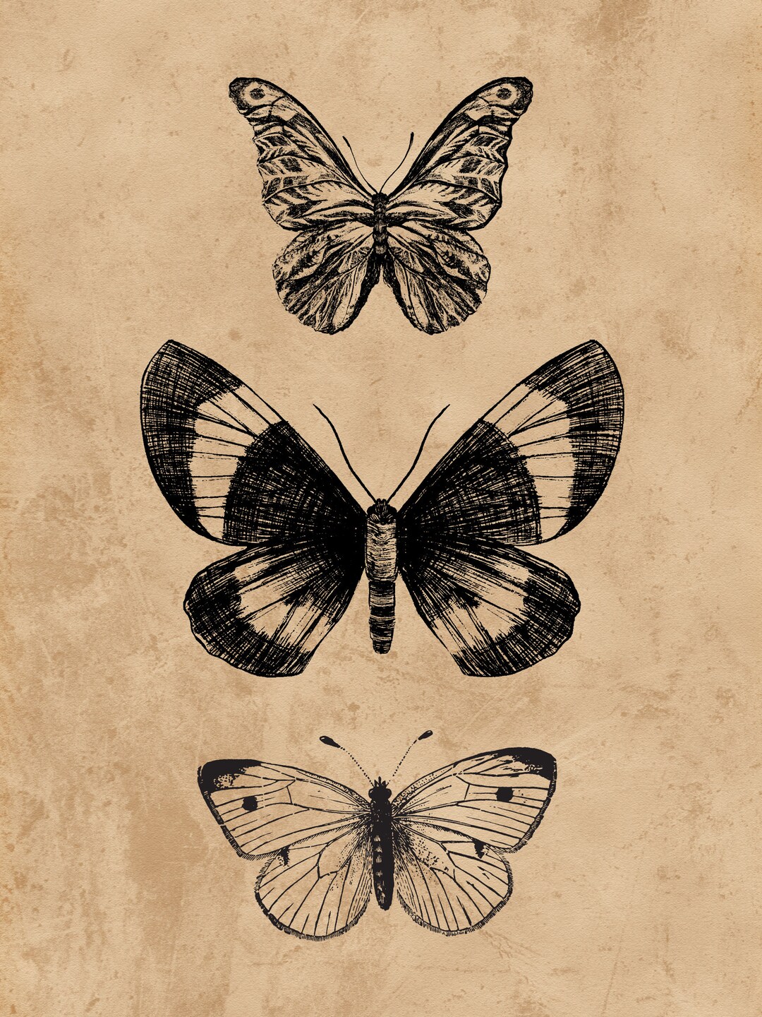 Printable Natural Antique Butterfly Poster - Etsy