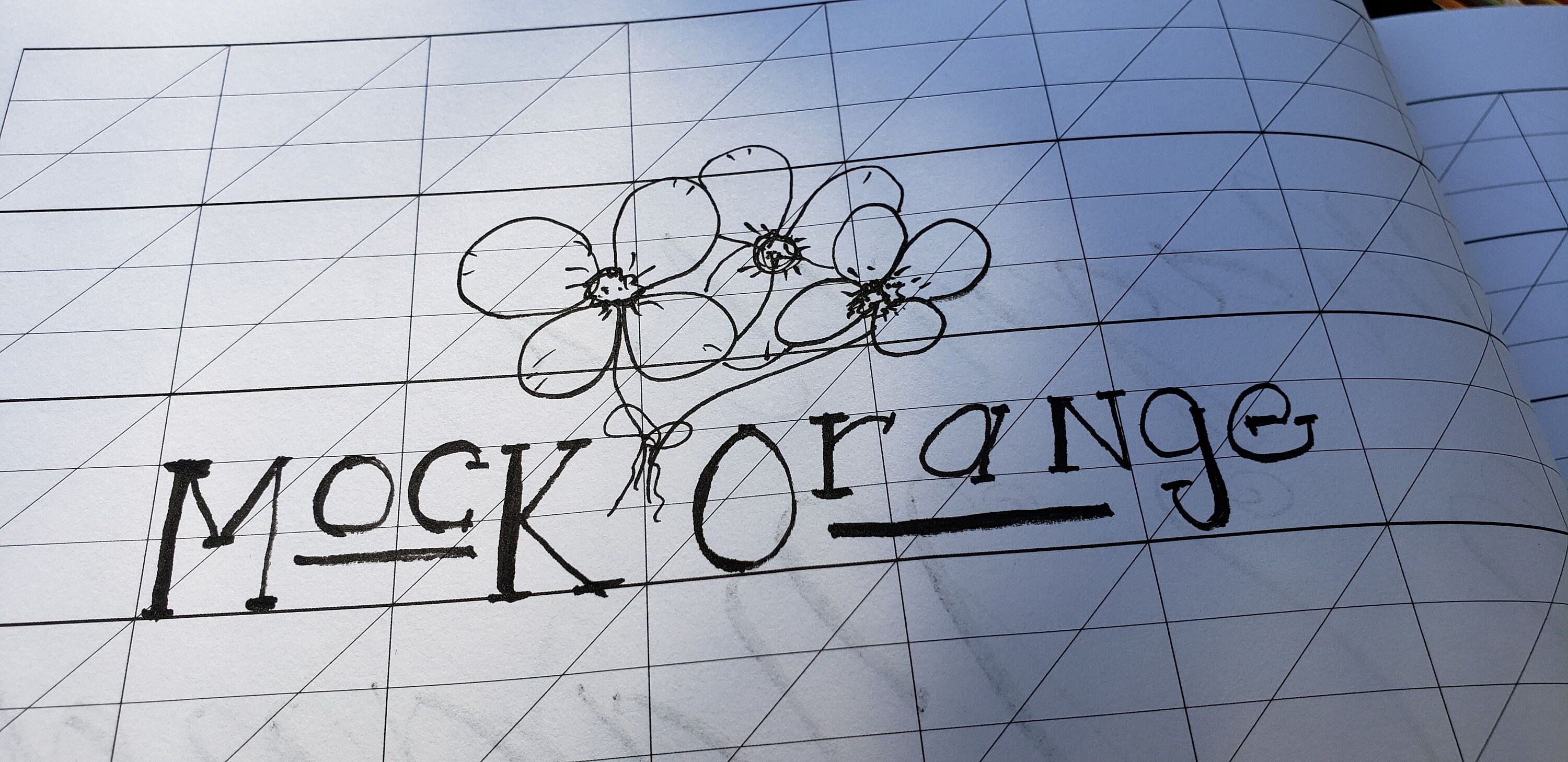 Beautiful, Original Art Mock Orange Greeting Card From Joni Silva's ...