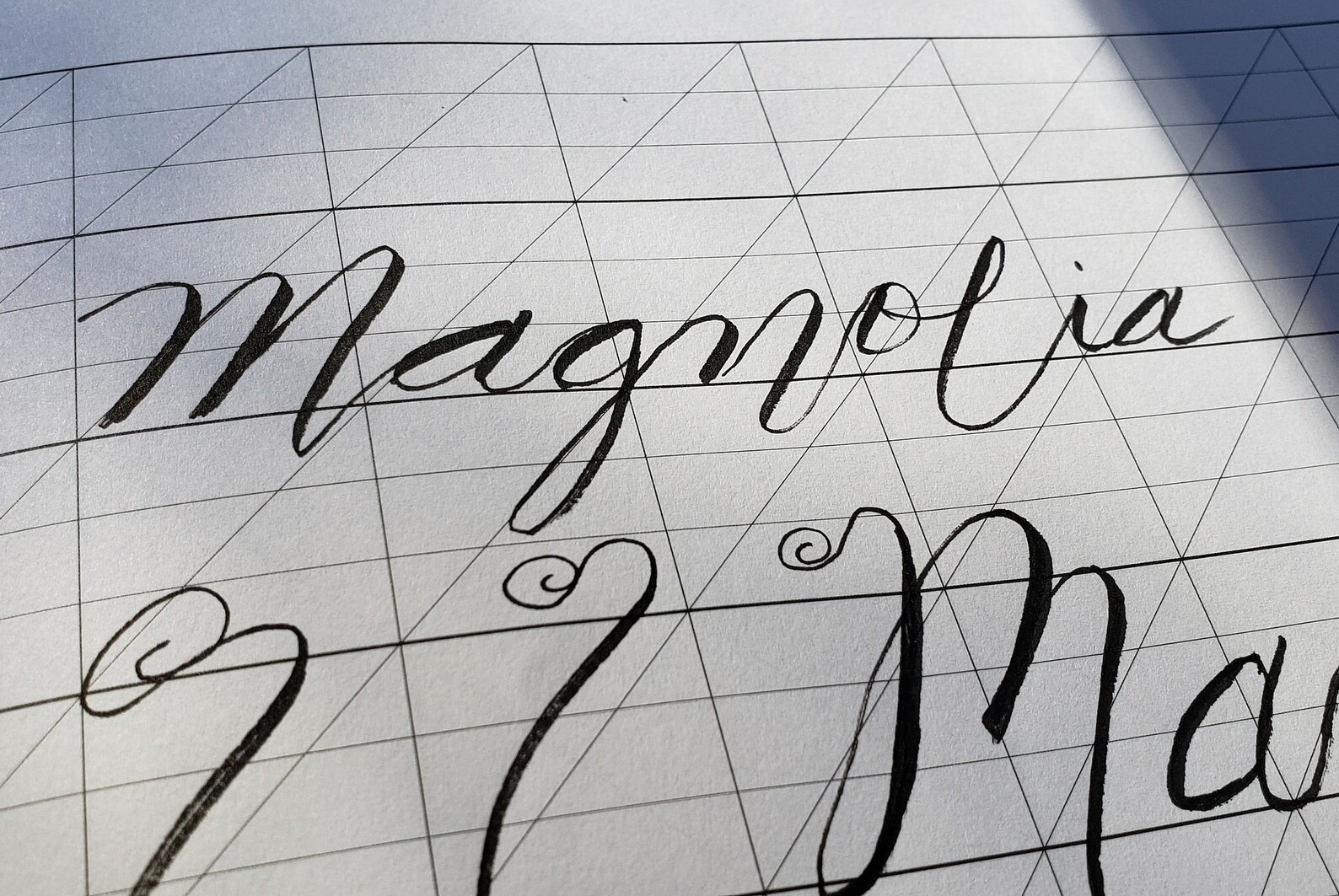 Beautiful, Original Art White Magnolia Greeting Card From Joni Silva's ...