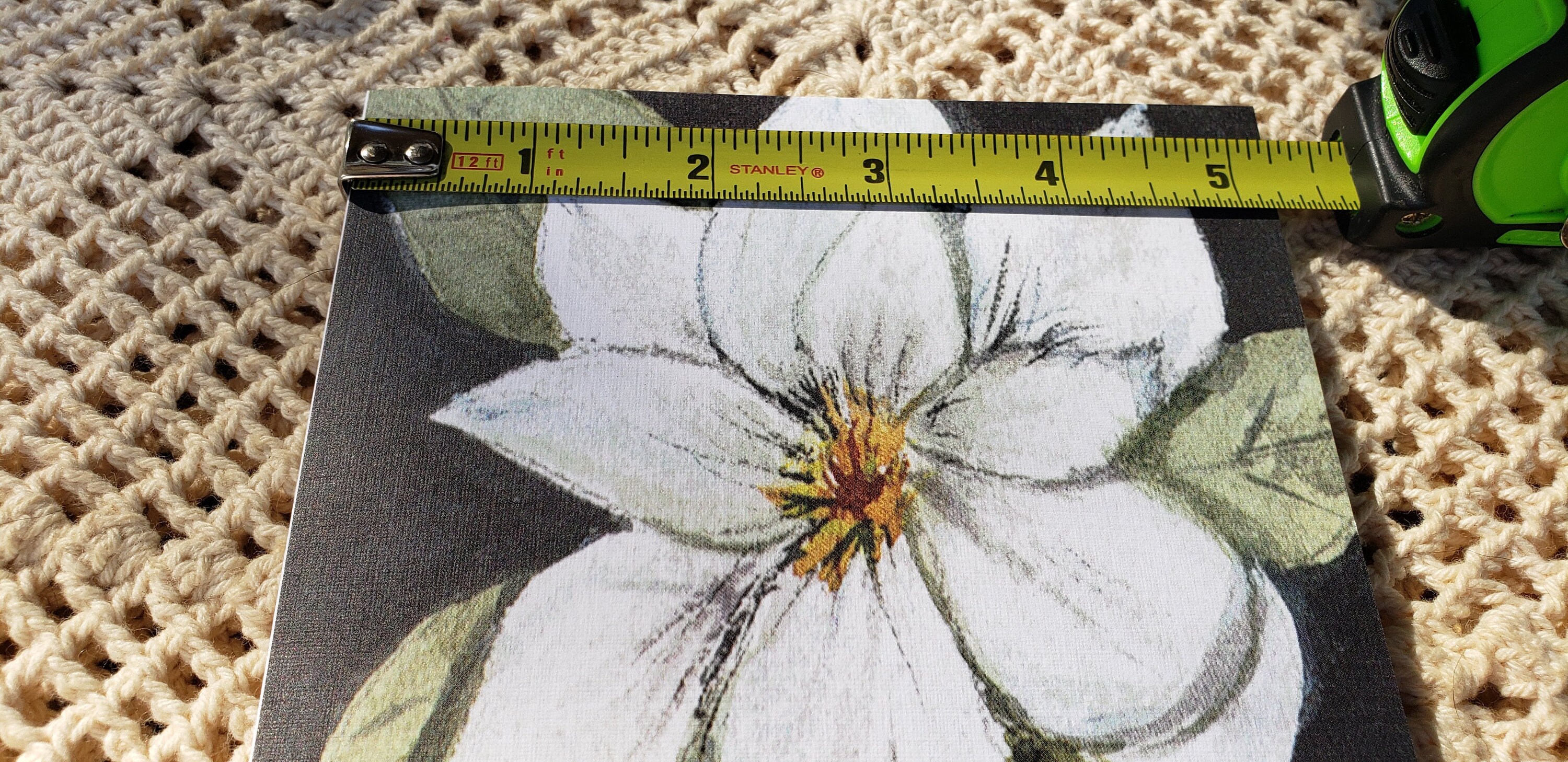 Beautiful, Original Art White Magnolia Greeting Card From Joni Silva's ...