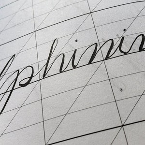 Beautiful, Original Art Delphinium Greeting Card From Joni Silva's ...