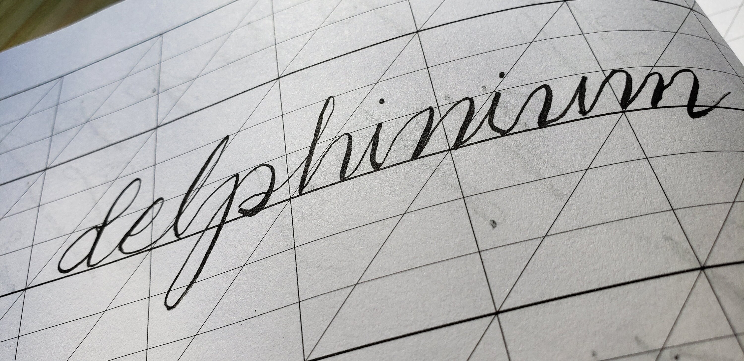 Beautiful, Original Art Delphinium Greeting Card From Joni Silva's ...