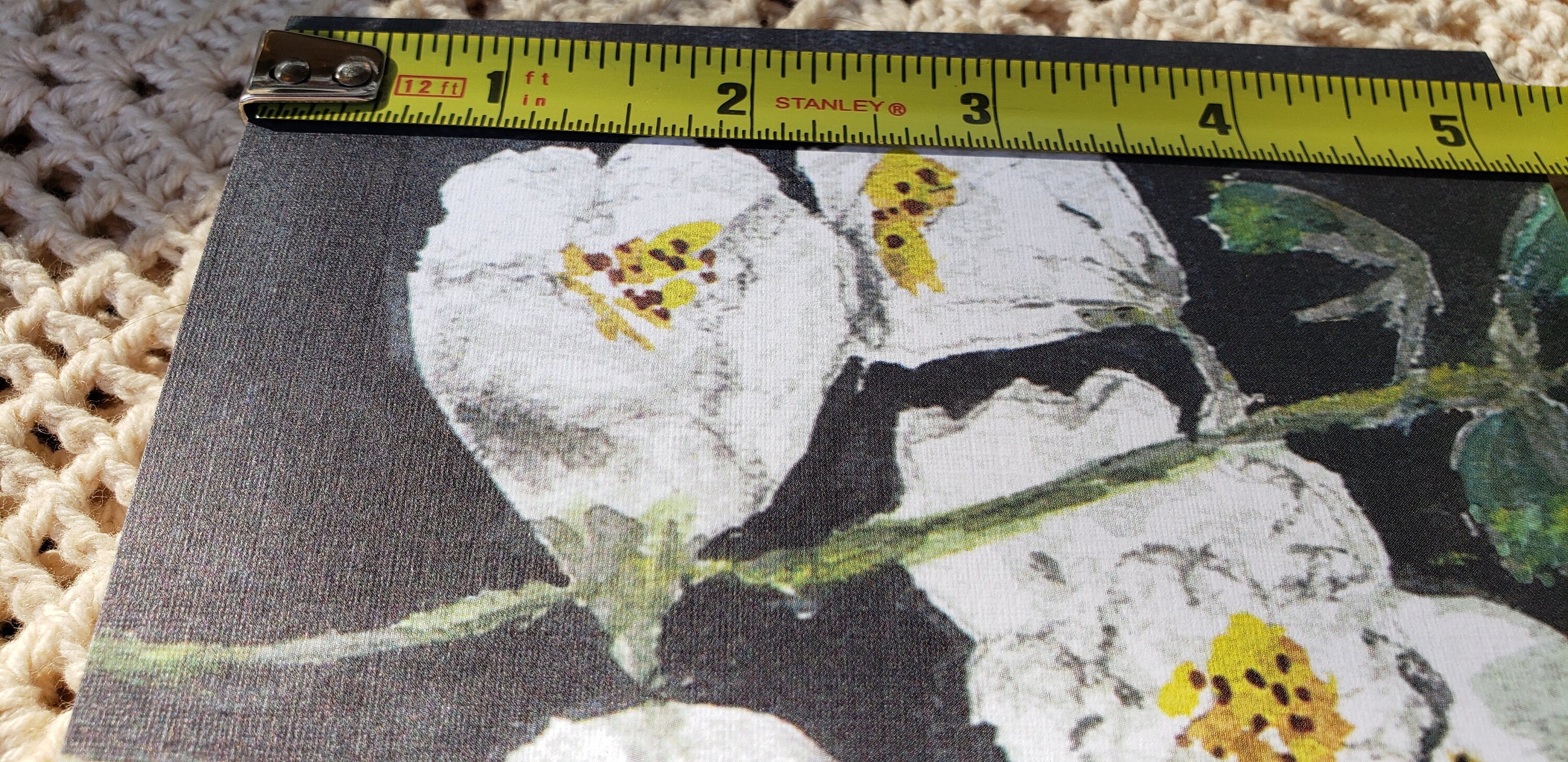 Beautiful, Original Art Delphinium Greeting Card From Joni Silva's ...