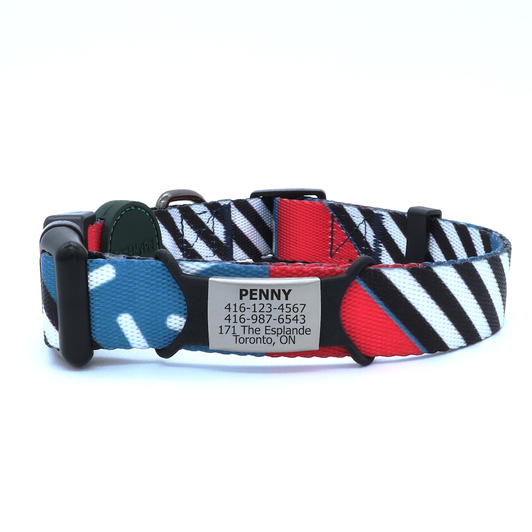 Custom Dog Collar With Name ID Tag, Dog Collar, Personalized Dog Collar ...