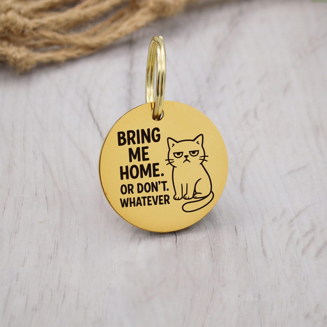 Bring Me Home Engraved Custom Dog Tag Personalized Dog Name Tag ID Cat ...