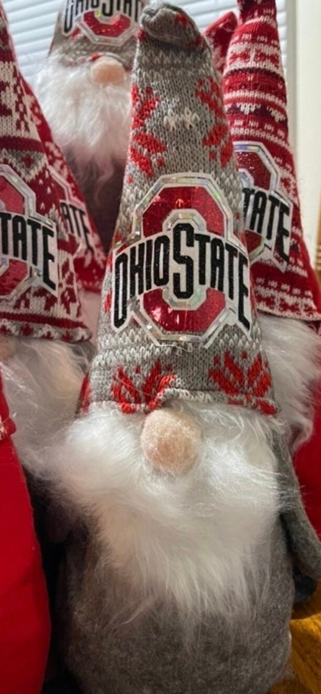 Hey Ohio Valentine Fans | Scarlet and Gray Football Gnome | Ohio ...