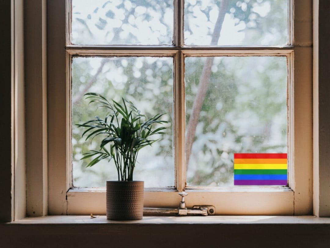 LGBTQ Pride Flag Static Cling Windows, Mirrors, Car Windows, Store ...