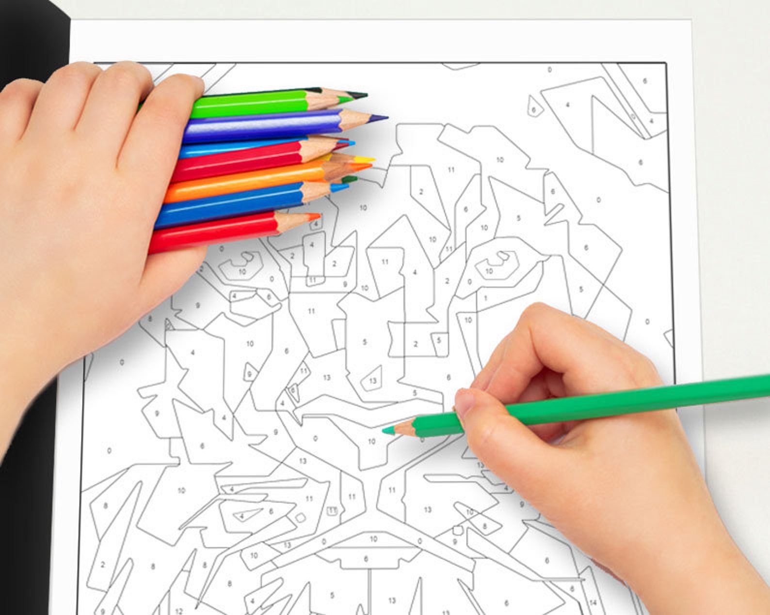 Colorful Lion Paint by Number Printable Coloring Page, Printable Color ...