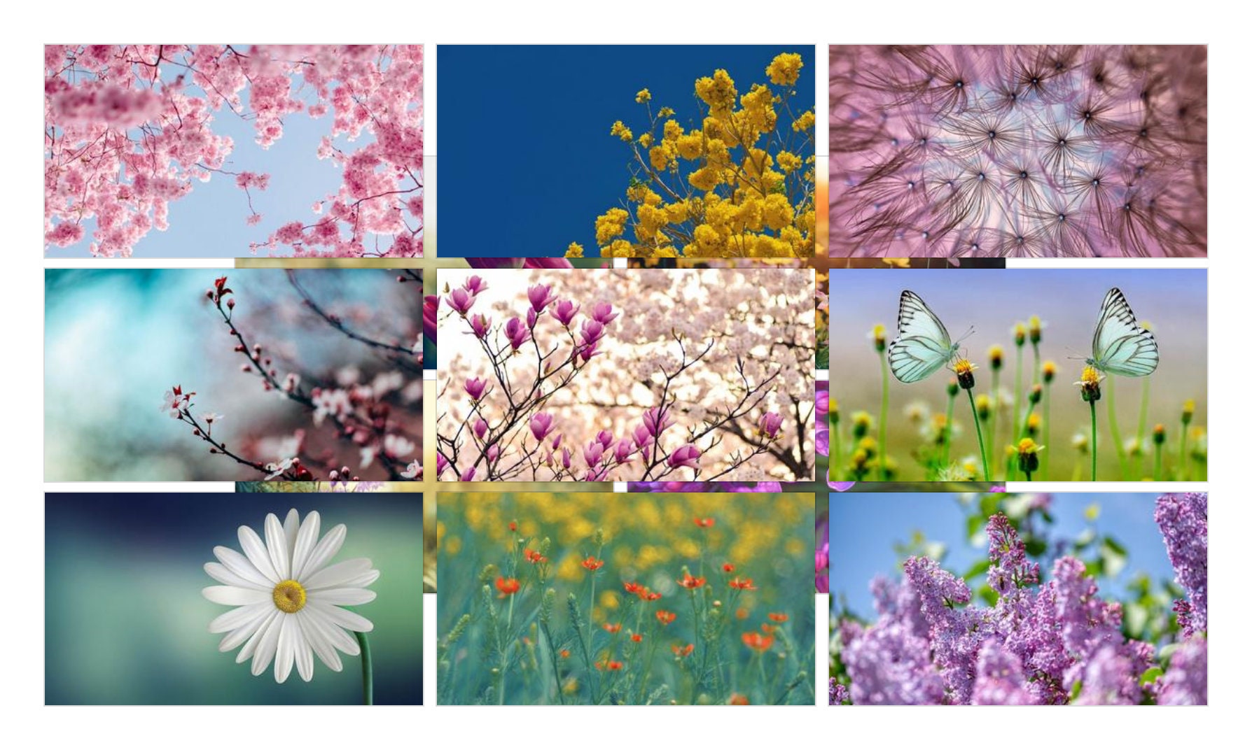 Zoom Background Spring Collection Student Teacher Classroom - Etsy Ireland