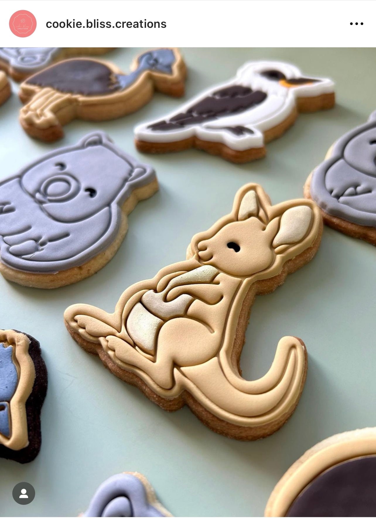 Australian Animals Cookie Cutter Stamp Koala Crocodile Kangaroo ...