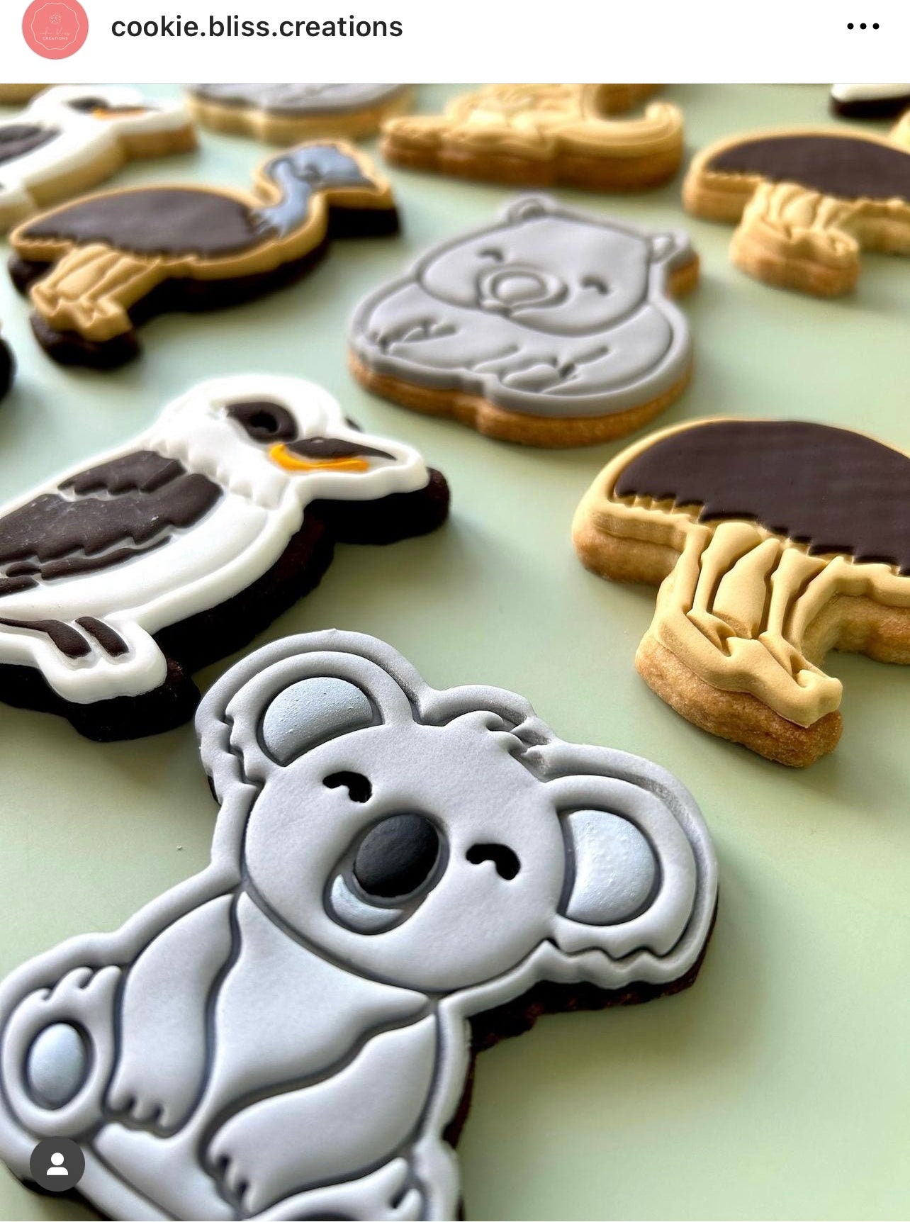 Australian Animals Cookie Cutter Stamp Koala Crocodile Kangaroo ...