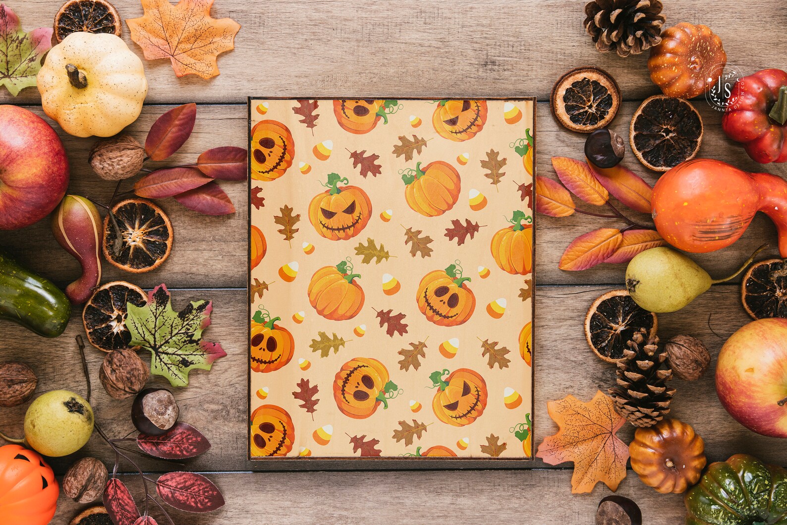 Halloween Digital Paper Pumpkin Digital Papers Pack Jack O | Etsy