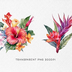 Watercolor Tropical Flowers Clipart Bird of Paradise PNG - Etsy