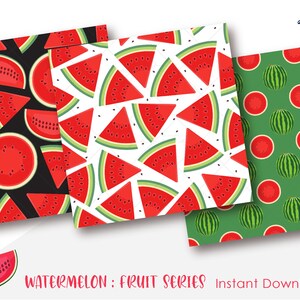 Melon Digital Paper Pack Watermelon Fruit Tropical Fruits | Etsy