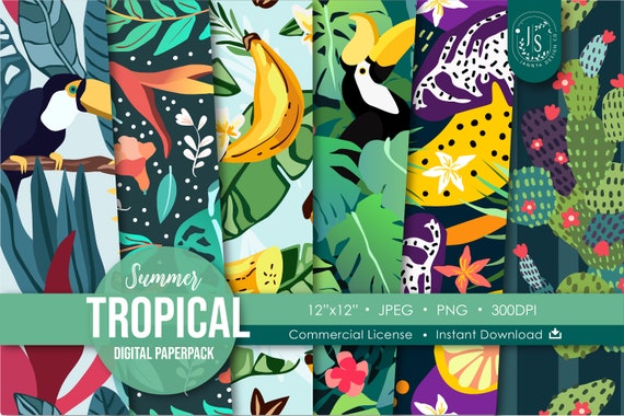 Tropical Toucan Bird Digital Paper Pack Hornbill Seamless | Etsy