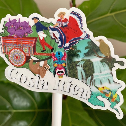 Costa Rica Parrot Sticker Decal Vinyl Indoor Outdoor Tropical - Etsy