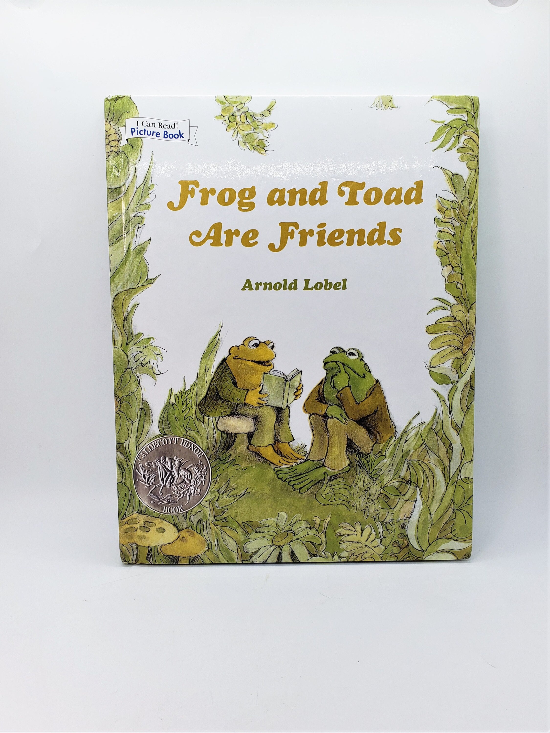Frog And Toad Coloring Pages Arnold Lobel