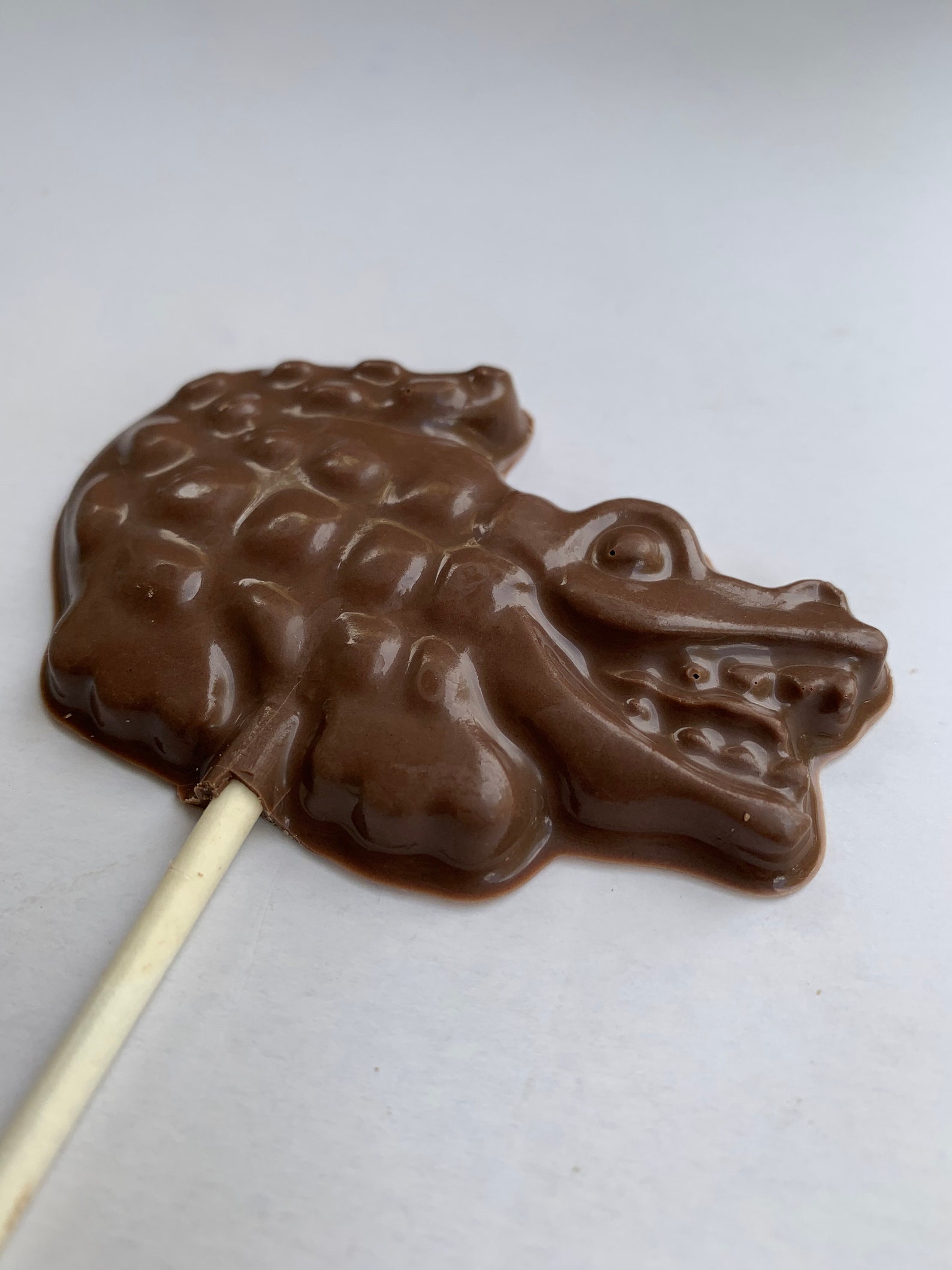 30 Alligator Chocolate Suckers Chocolate Alligator Candy - Etsy