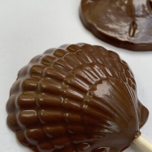 12 Chocolate Sea Shell Mix Chocolate Suckers Chocolate Clam Shell Candy ...