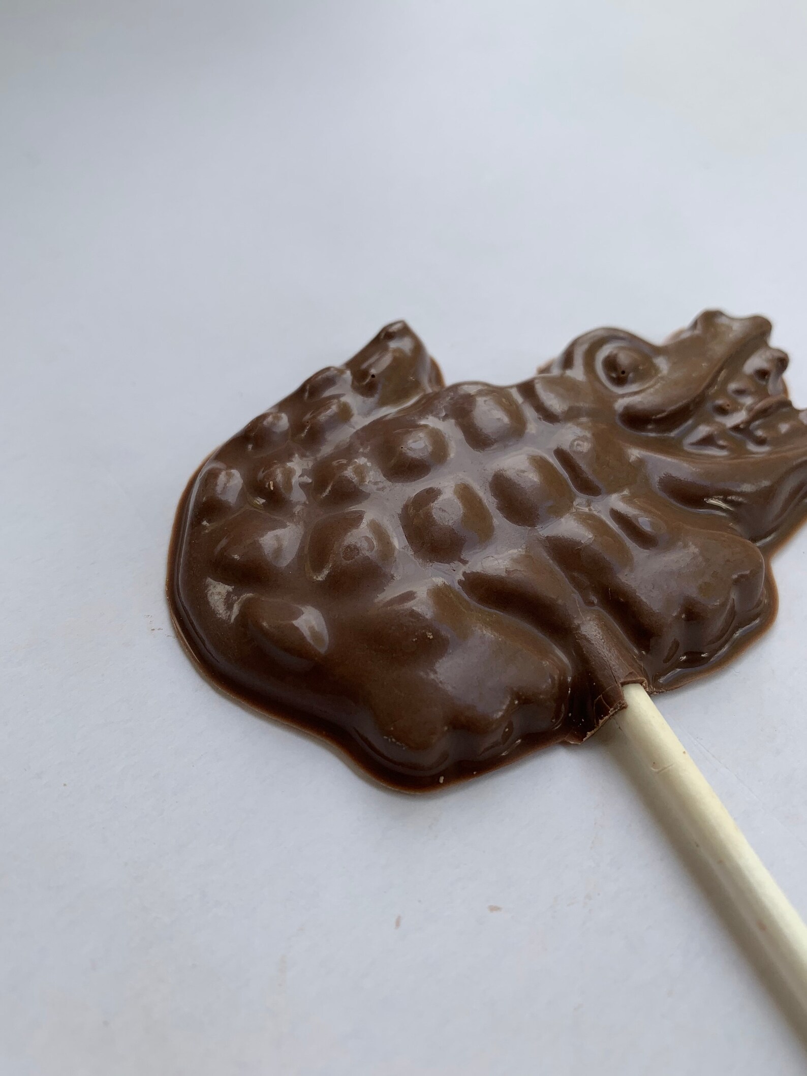 30 Alligator Chocolate Suckers Chocolate Alligator Candy - Etsy