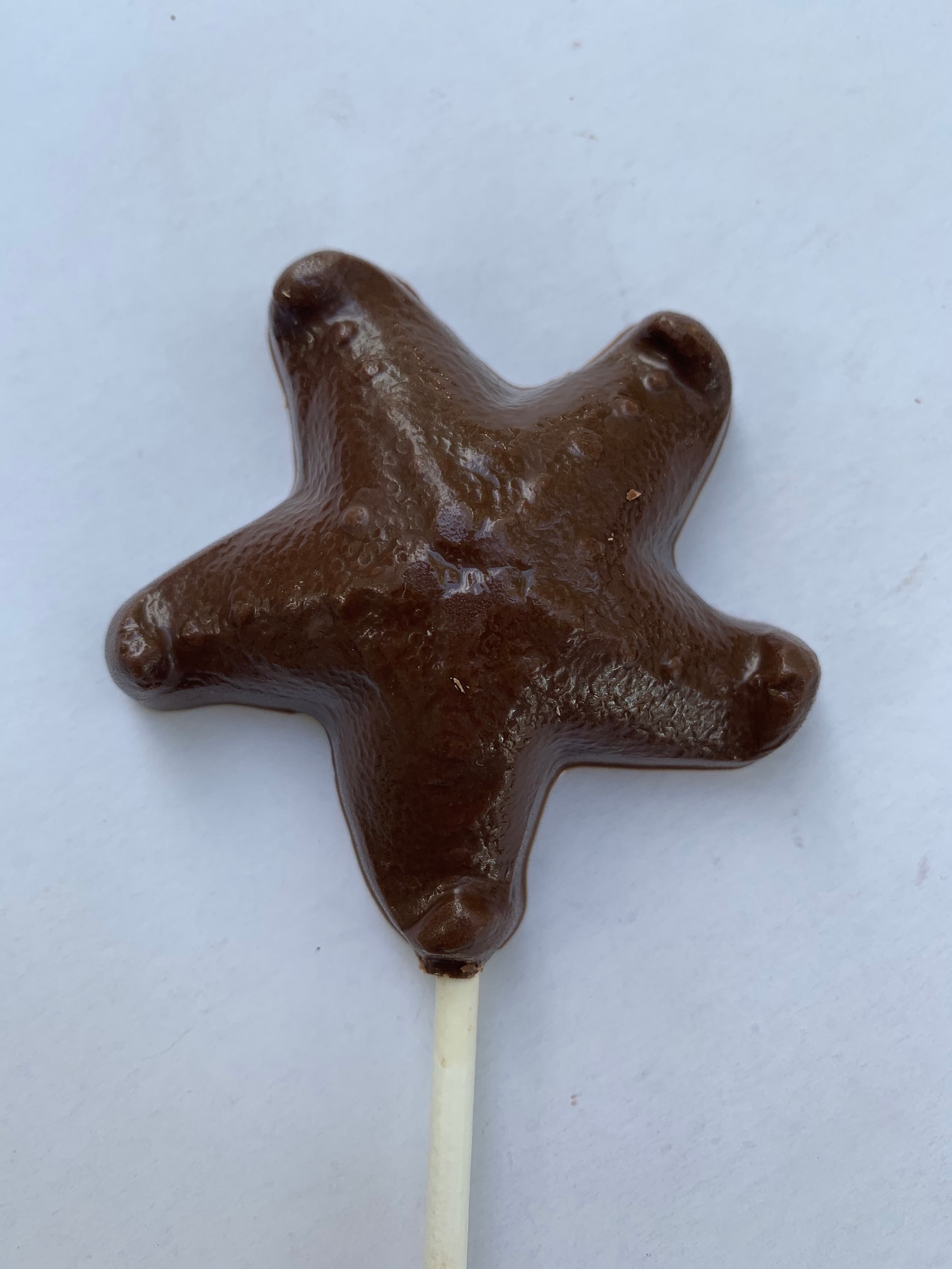 12 Chocolate Starfish chocolate suckers chocolate Starfish | Etsy