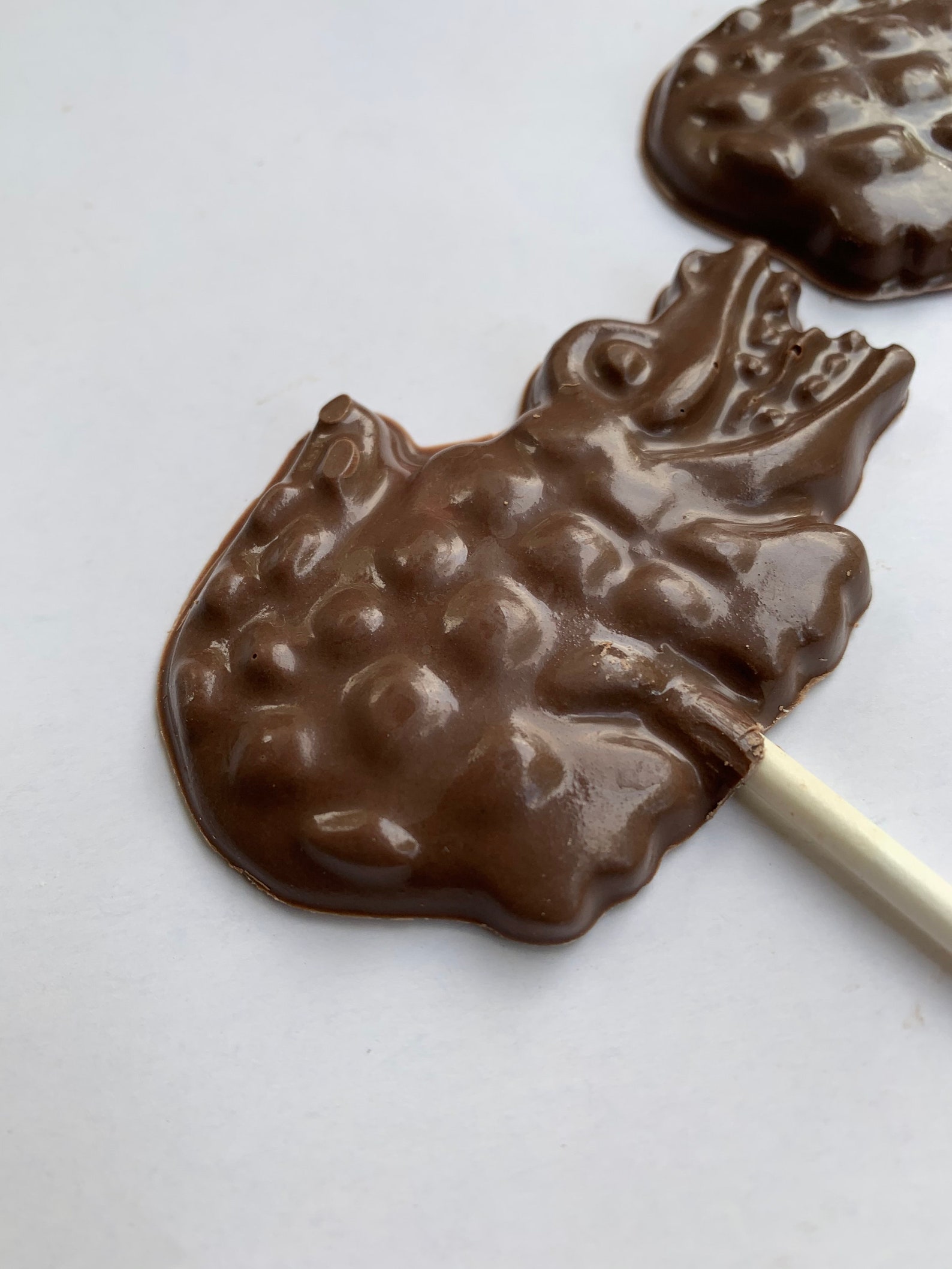 30 Alligator Chocolate Suckers Chocolate Alligator Candy - Etsy