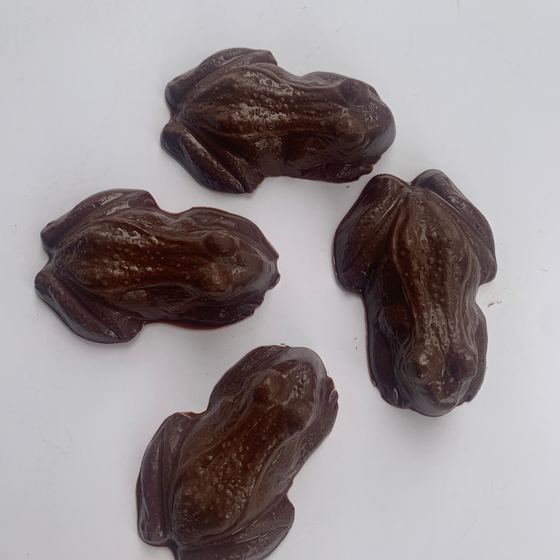 Chocolate Frog - Etsy