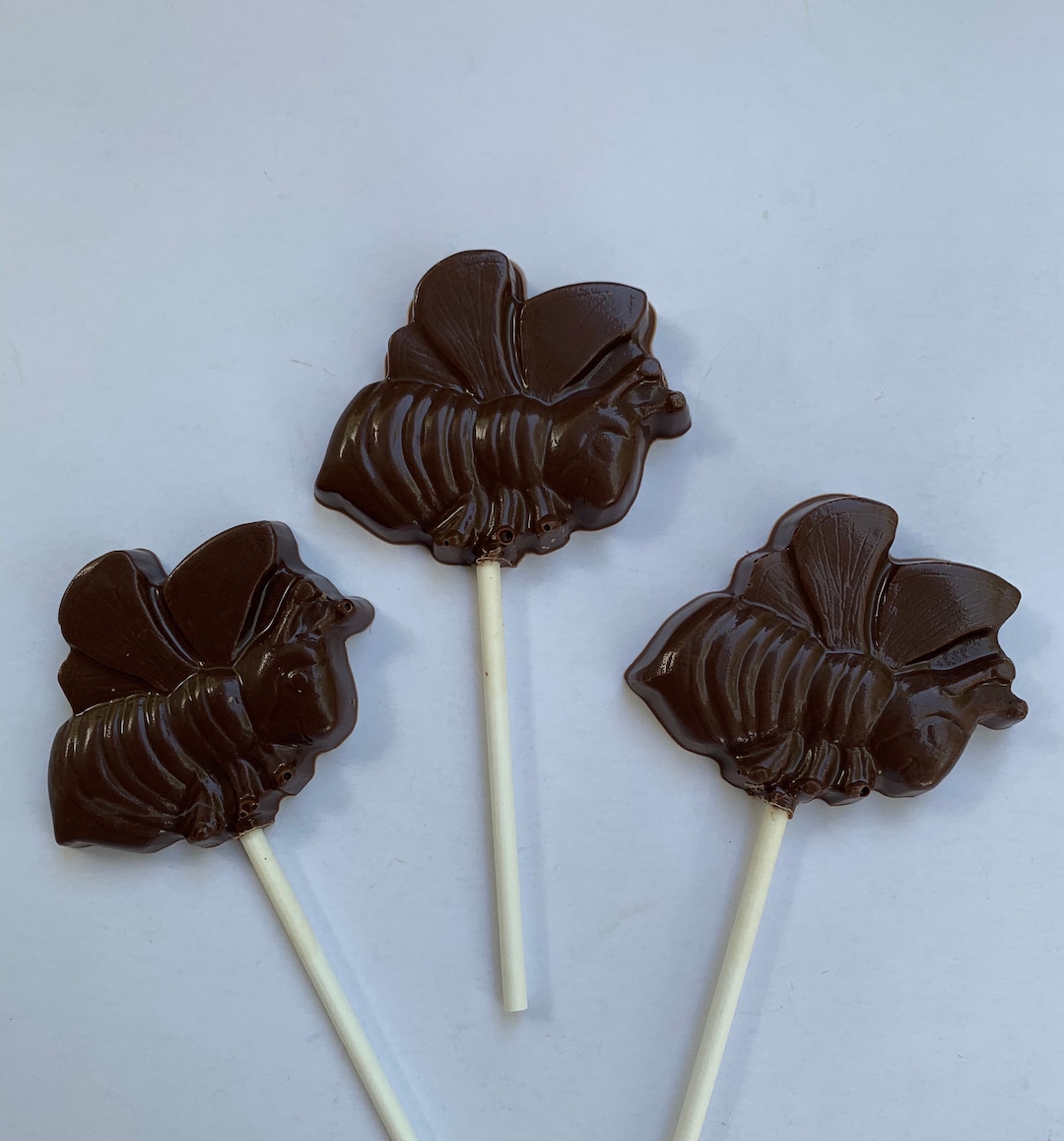 12 Chocolate Bumble Bee Chocolate Suckers Chocolate Bumble Bee Candy ...
