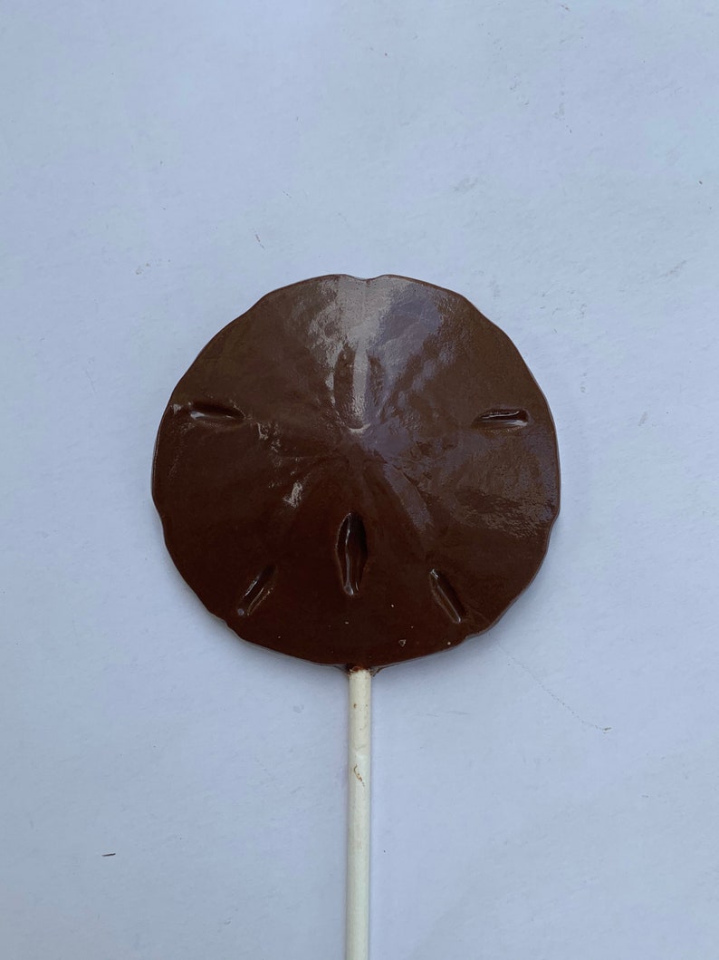 12 Chocolate Sand Dollar Chocolate Suckers Chocolate Sand | Etsy