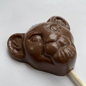 10 Baby Lion Chocolate Suckers Chocolate Tiger Candy Lion Chocolate ...
