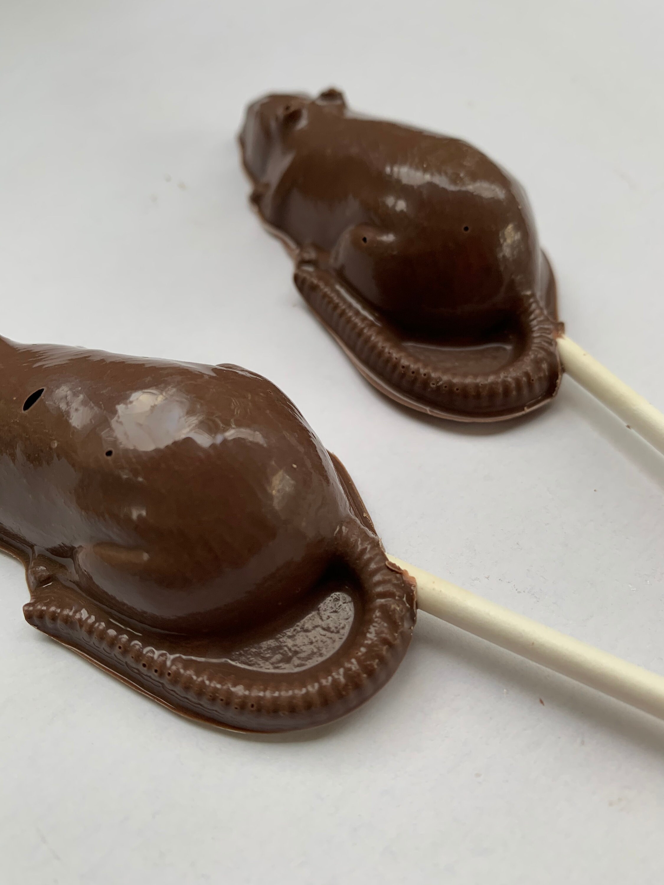 12 Chocolate Rat Pops Chocolate Rat Suckers Chocolate Rat - Etsy