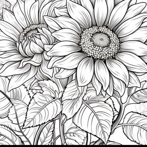 House Plants , Gardens Plant Coloring Pages 20 Printable Pages , Adult ...