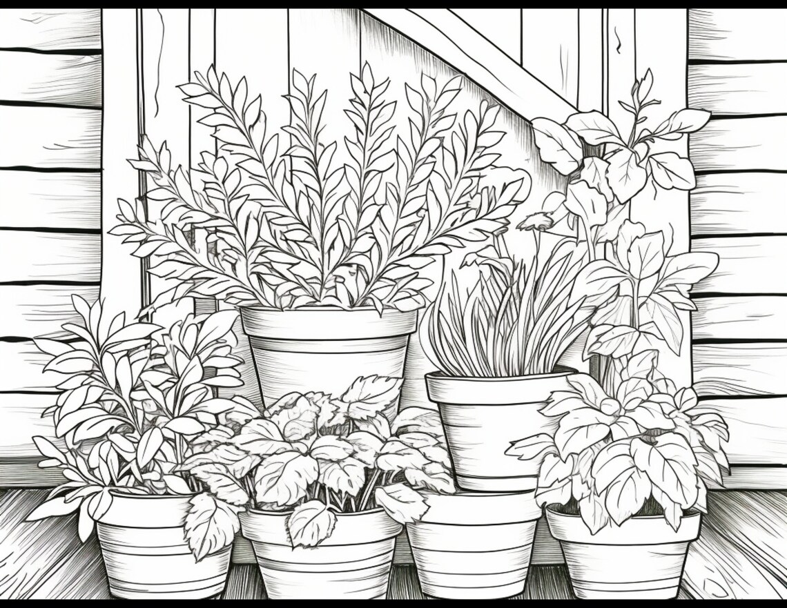 House Plants , Gardens Plant Coloring Pages 20 Printable Pages , Adult ...