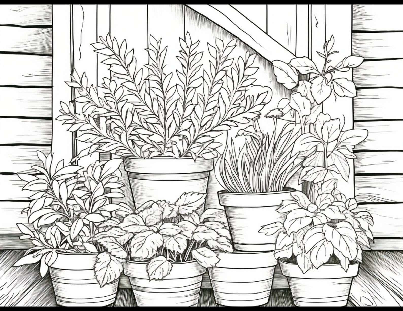 House Plants , Gardens Plant Coloring Pages 20 Printable Pages , Adult ...