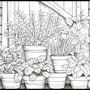 House Plants , Gardens Plant Coloring Pages 20 Printable Pages , Adult ...