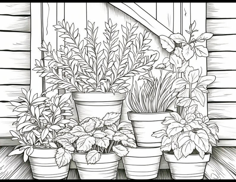 House Plants , Gardens Plant Coloring Pages 20 Printable Pages , Adult ...