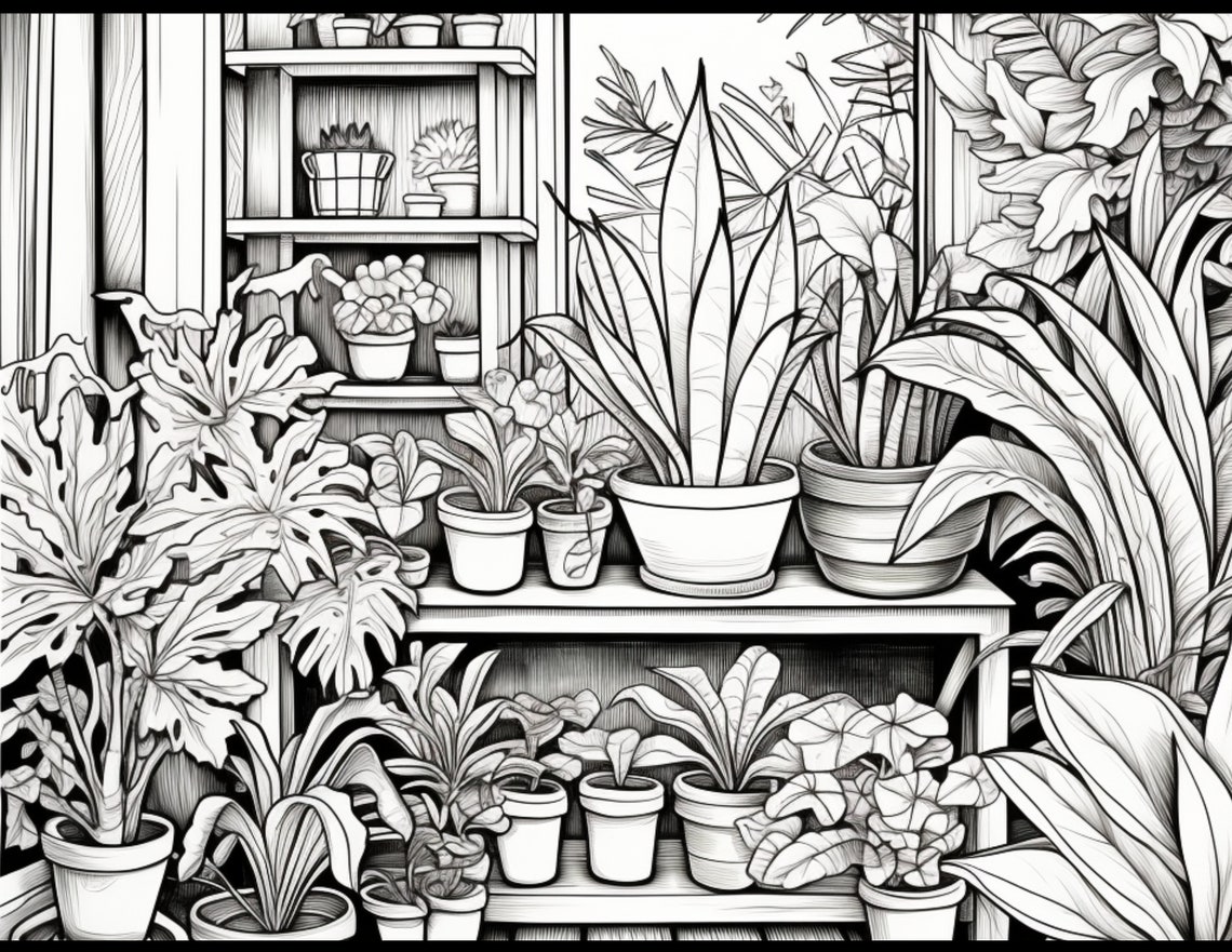 House Plants , Gardens Plant Coloring Pages 20 Printable Pages , Adult ...