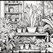 House Plants , Gardens Plant Coloring Pages 20 Printable Pages , Adult ...