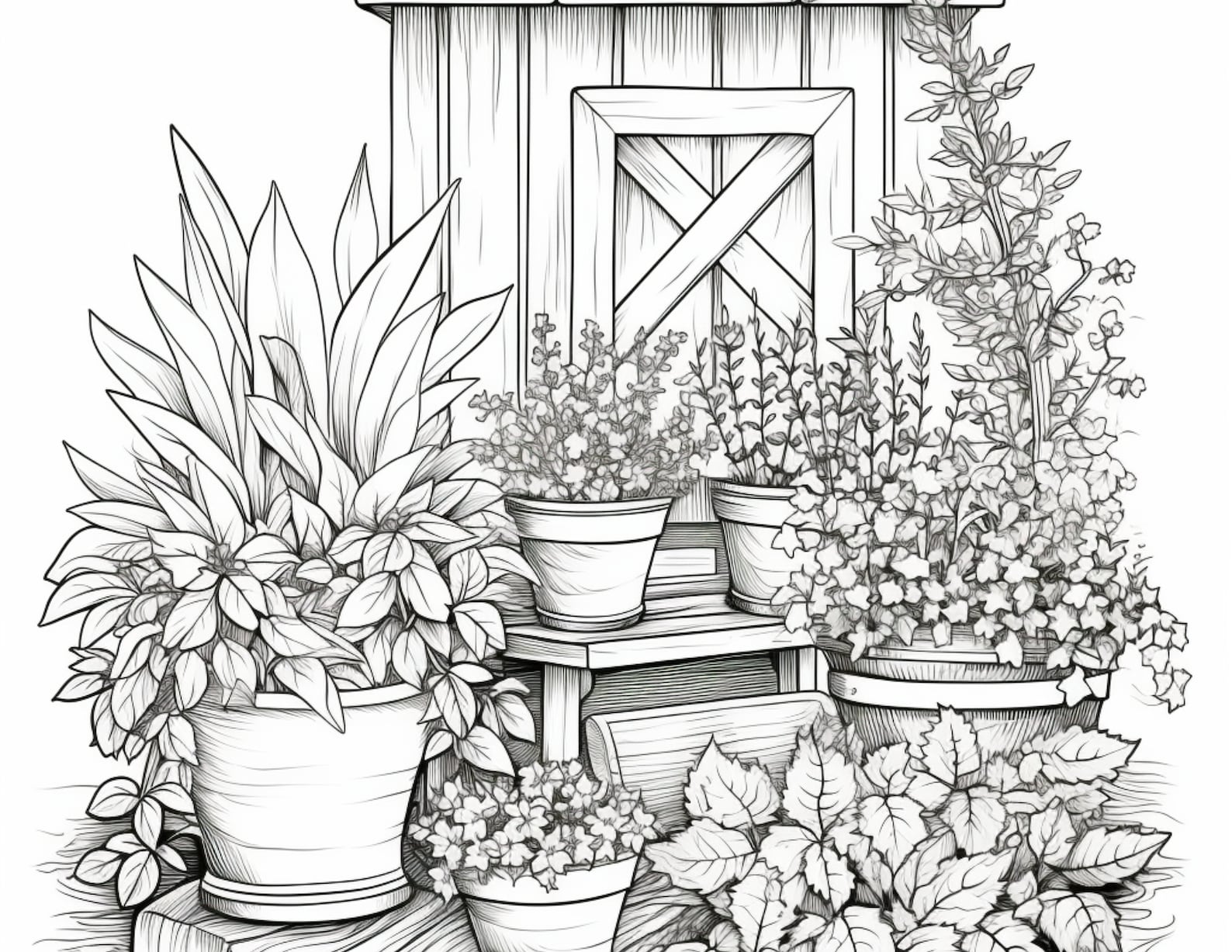 House Plants , Gardens Plant Coloring Pages 20 Printable Pages , Adult ...