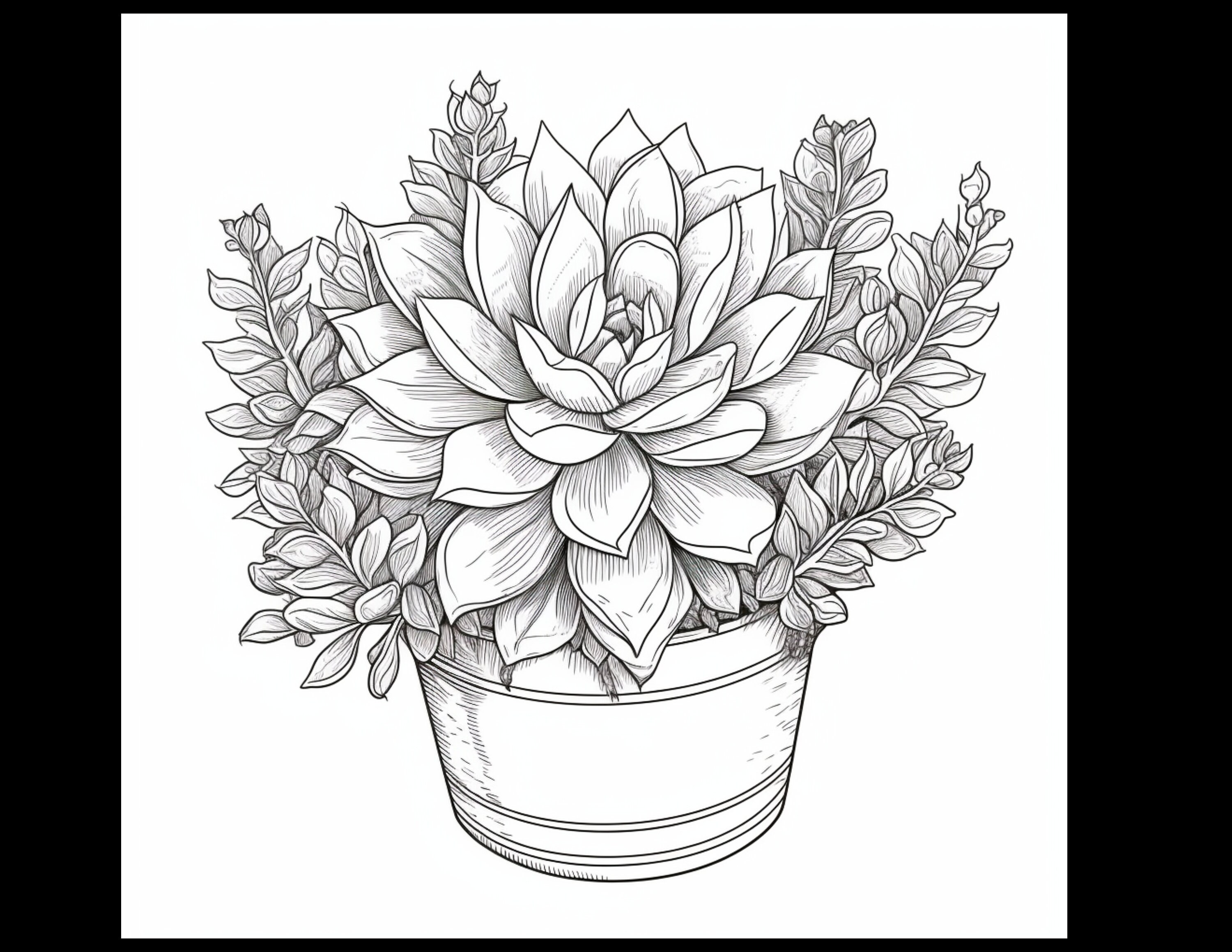 House Plants , Gardens Plant Coloring Pages 20 Printable Pages , Adult ...