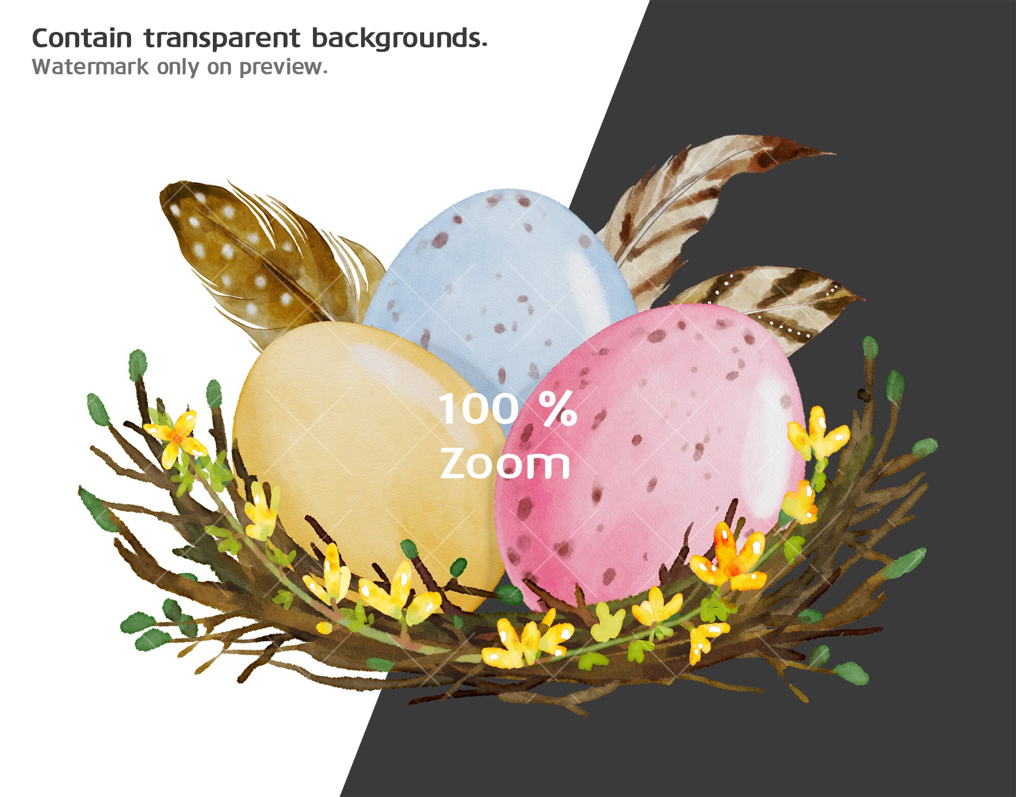 Watercolor Spring Clipart Nest Illustration Bird's Nest - Etsy