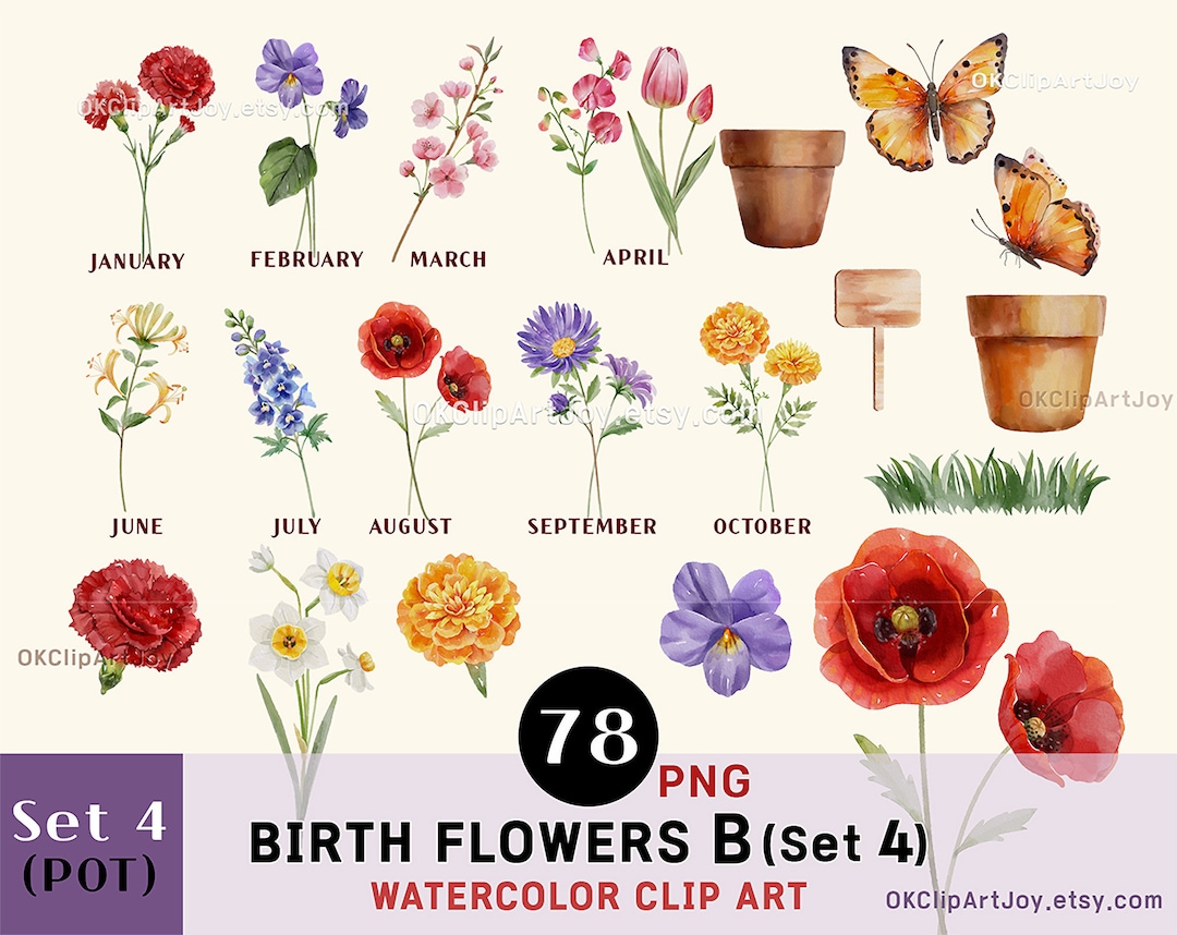 Birth Month Flowers Clipart, Watercolor Floral PNG Bundle, Flower ...